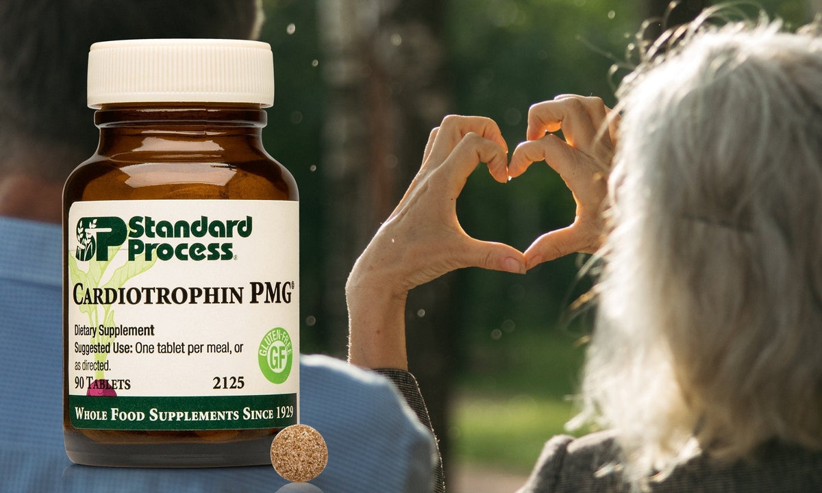 Cardiotrophin PMG®: Heart Repair, Cellular Support & Use – Journeys ...