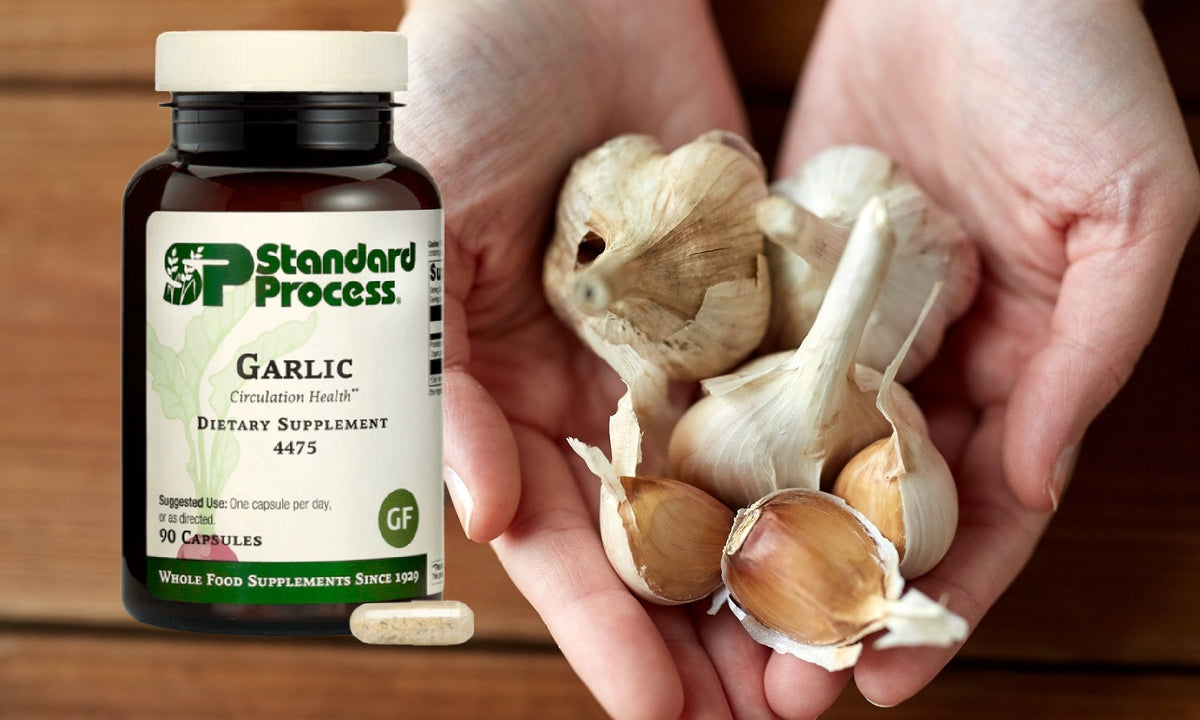 Garlic by Standard Process- Immune Boost - Dr Review & FAQ – Journeys ...