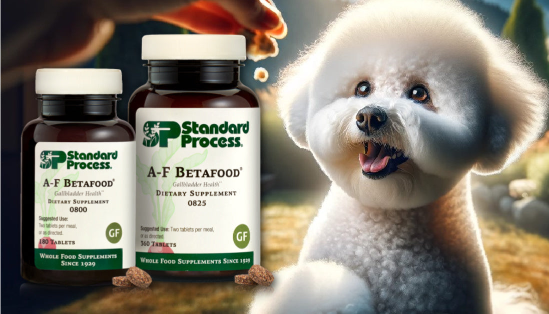 Exploring A-F Betafood® by Standard Process for Dogs: Veterinary Liver ...