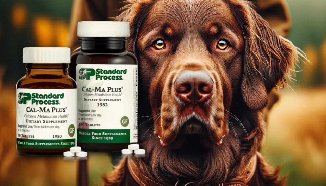 Cal-Ma Plus by Standard Process for Dogs: Nutrition for Lifelong Healt ...