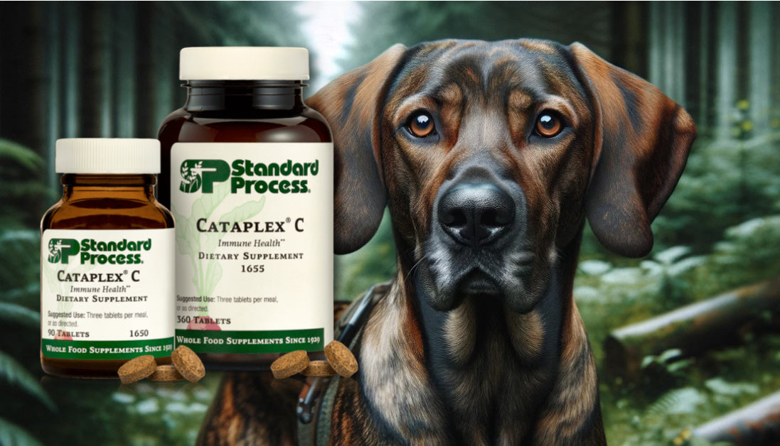 Cataplex® C by Standard Process for Dogs: Vet's Review- Boost Immune ...