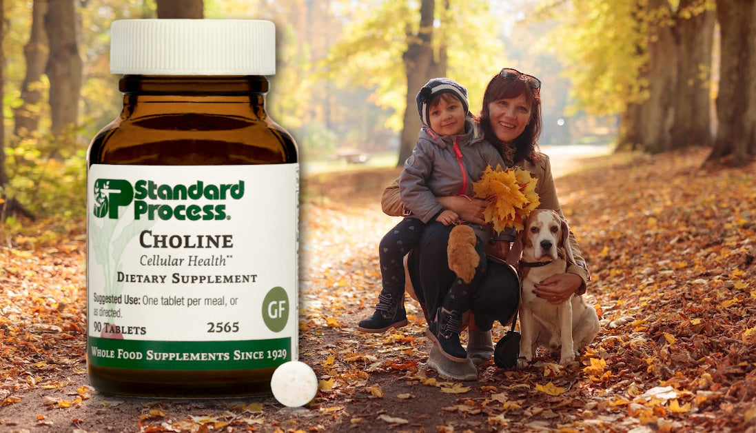 Choline for Dogs by Standard Process: Brain, Liver Care & Prevention ...