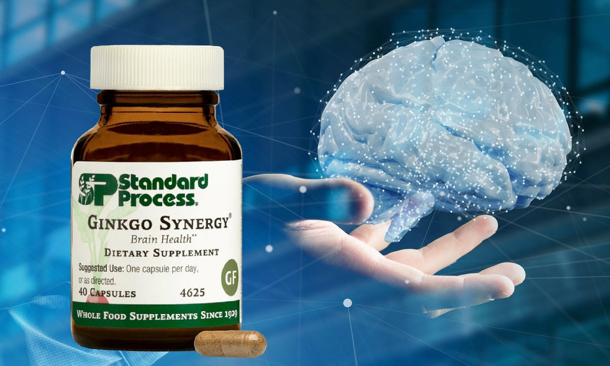 Ginkgo Synergy by Standard Process- Vegan Antioxidant- Review ...