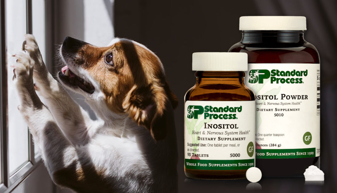 Inositol for Dogs by Standard Process: Nerves, Liver, Coat Care ...