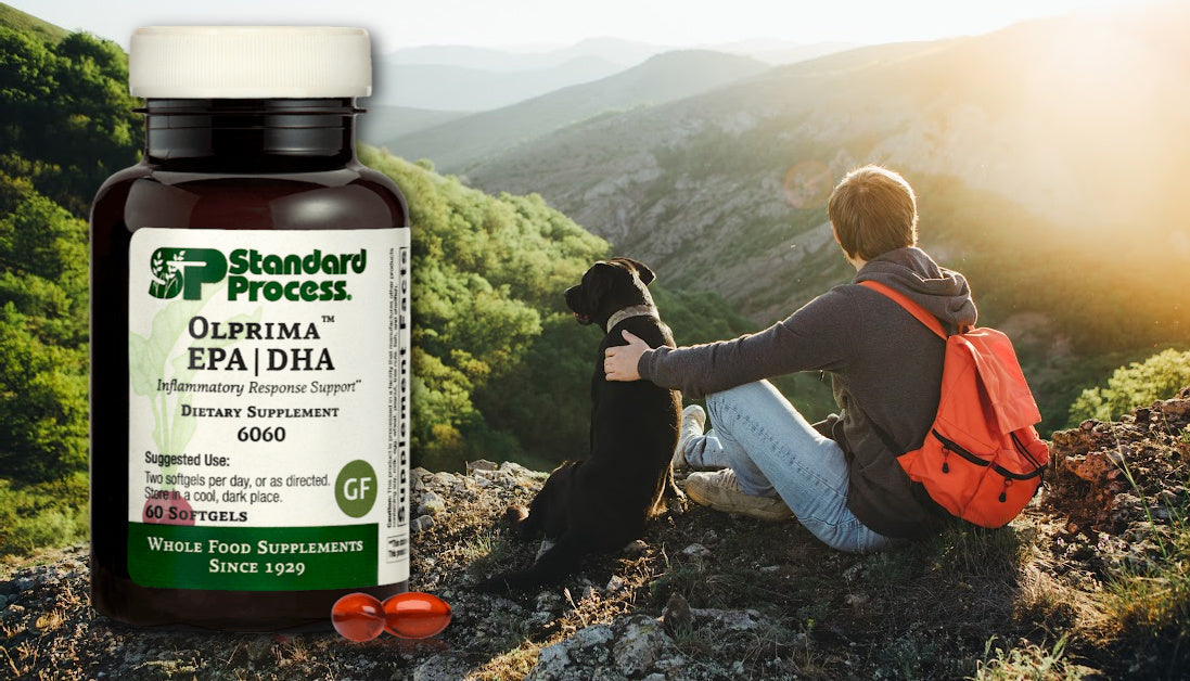 Olprima™ EPA|DHA for Dogs by Standard Process: Benefits, Uses, Safety ...