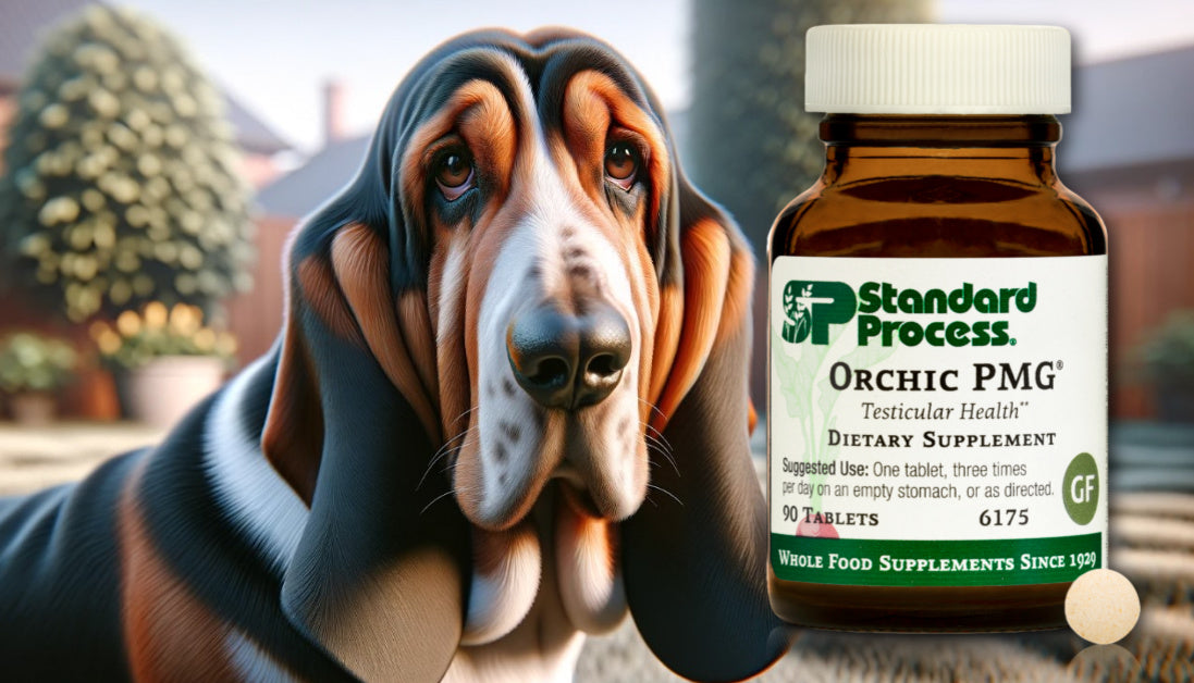Orchic PMG® by Standard Process for Dogs: Glandular Support, A Veterin ...