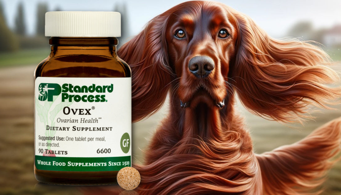 Ovex® by Standard Process for Dogs: Female Reproductive Health, Vet-En ...