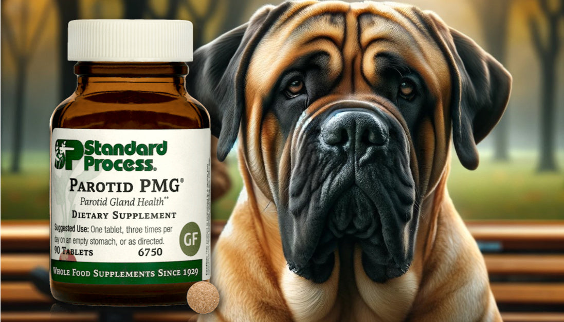 Parotid PMG® by Standard Process for Dogs: Glandular and Digestive Sup ...