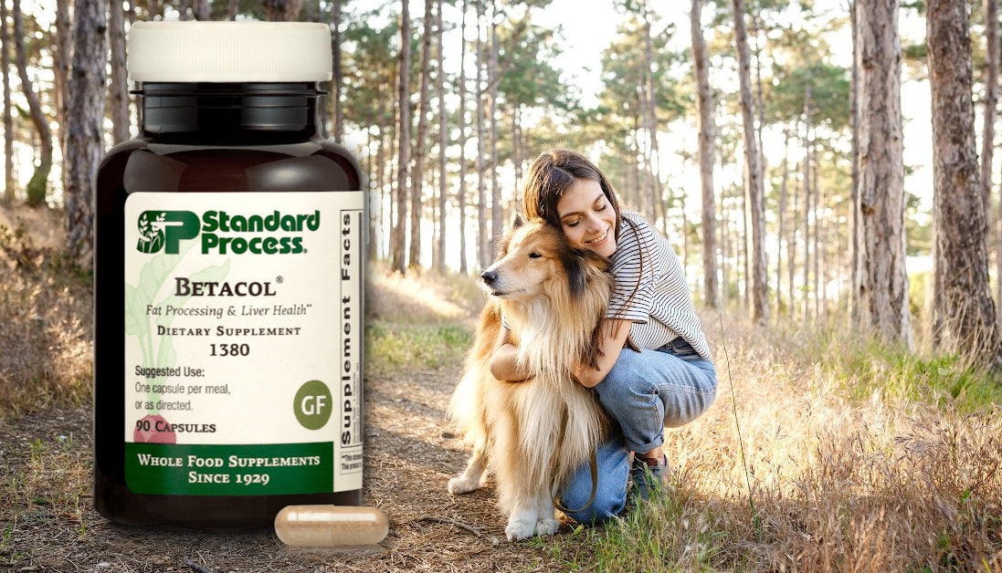 Betacol® for Dogs by Standard Process: Liver Support, Digestion & Care ...