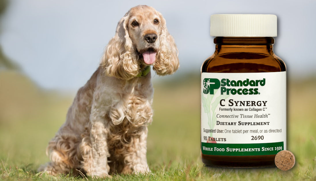 C Synergy for Dogs by Standard Process: Immune, Skin & Tissue Support ...