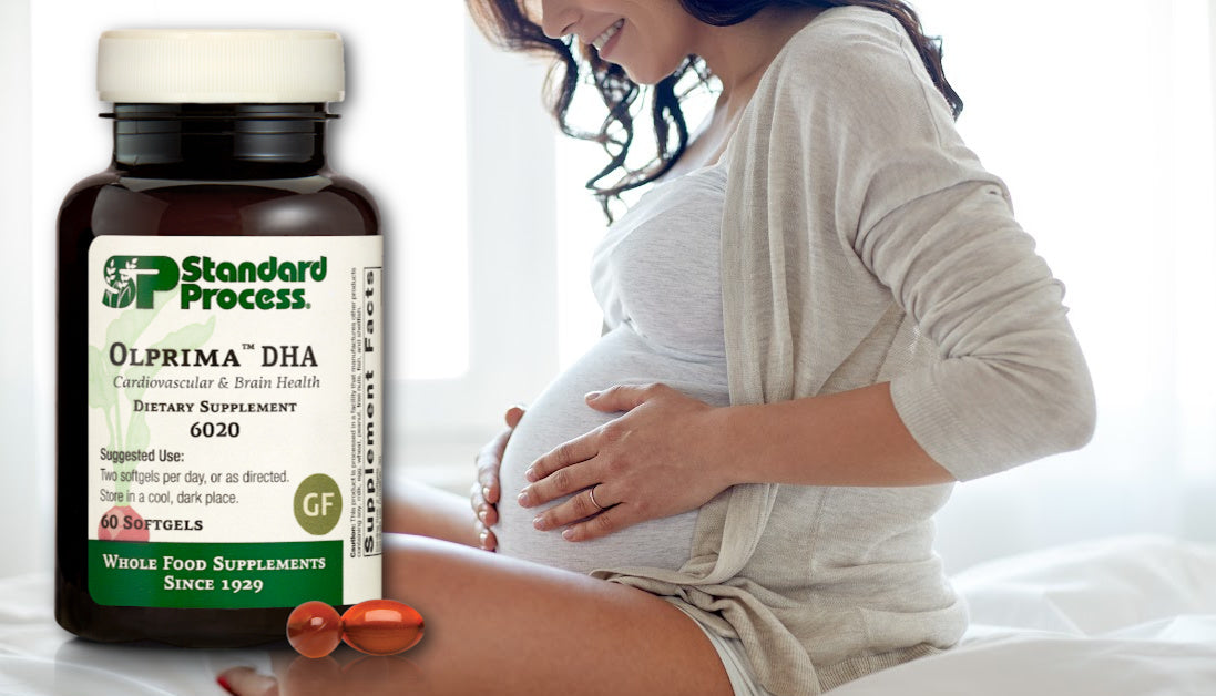 Olprima DHA by Standard Process Uses, Benefits, and Safety – Journeys ...