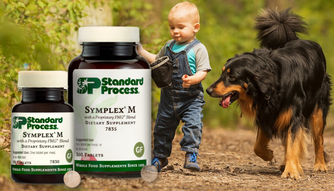 Symplex M for Dogs by Standard Process: Hormone Support, Care and Safe ...