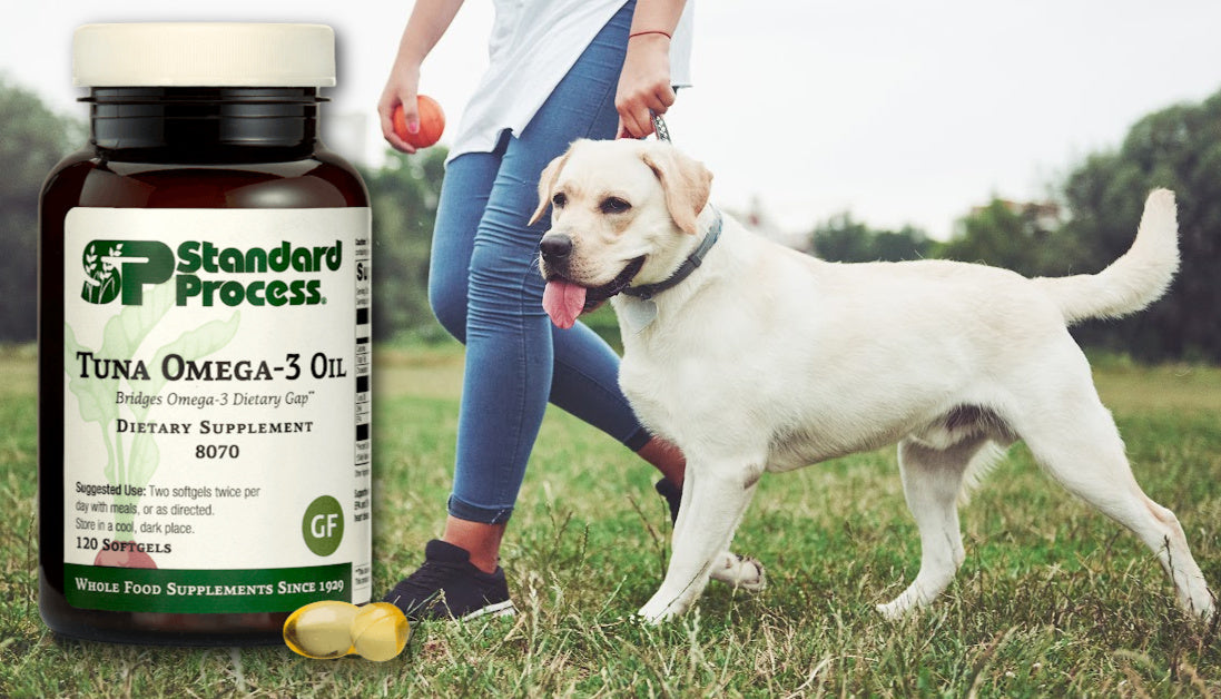 Tuna Omega-3 Oil for Dogs by Standard Process: Benefits, Dosage, Safet ...