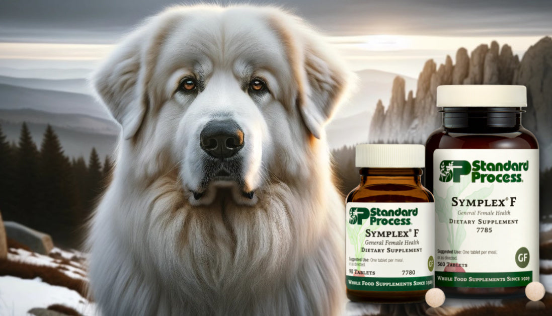 Symplex® F by Standard Process for Dogs: Female Endocrine Health, Vete ...