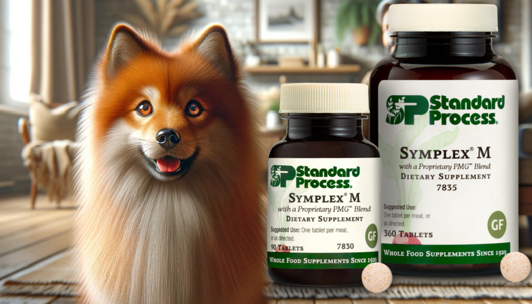 Symplex® M by Standard Process for Dogs: Male Endocrine Health, Vet-Re ...