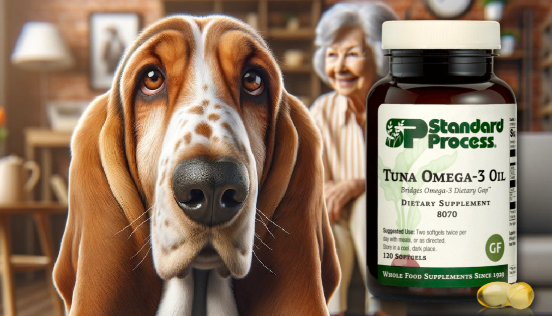 Tuna Omega-3 Oil by Standard Process for Dogs: Omega-3 Benefits, A Vet ...