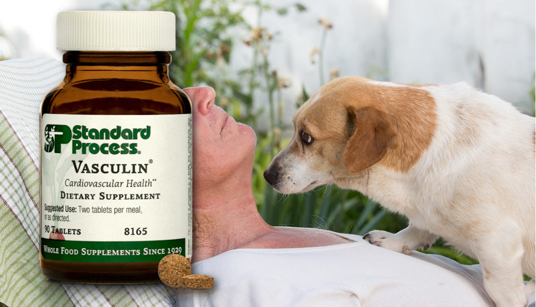 Vasculin® for Dogs by Standard Process: Heart Health, Energy, Circulat ...