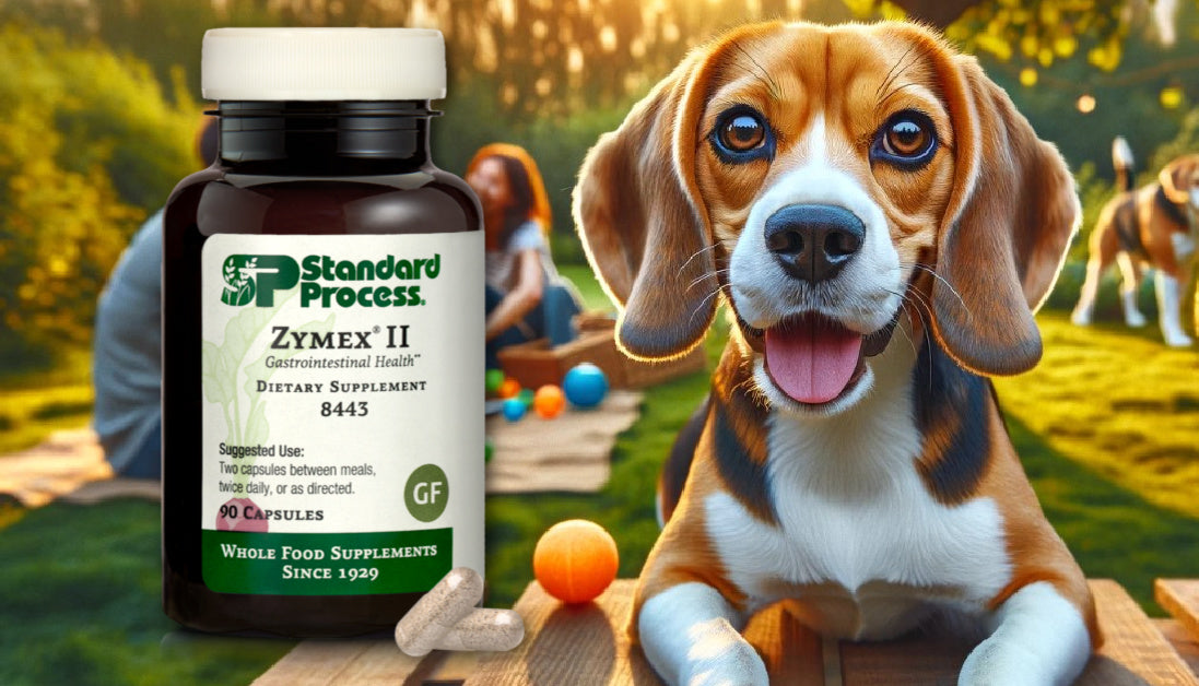 Zymex® II by Standard Process for Dogs: Digestive Enzyme Support, A Ve ...