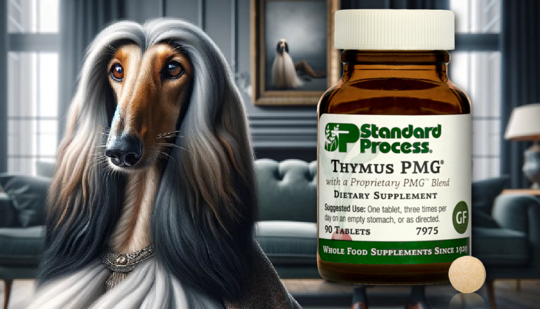 Thymus PMG® by Standard Process for Dogs: Immune System Support, Exper ...