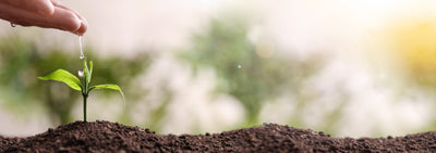 Cal-Ma Plus® by Standard Process: Bone Strength, Mineral Balance & Use ...