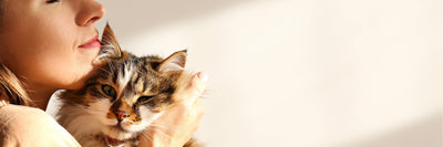 Cal-Ma Plus® by Standard Process: Bone Strength, Mineral Balance & Use ...