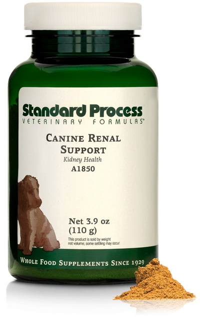 Gastrex by Standard Process: Digestive Relief, Support, Uses and Safet ...