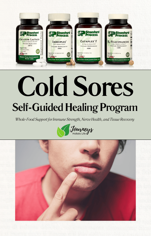 Cold Sores Self-Guided Healing Program PDF for Immune & Nerve Support ...