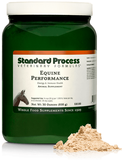 Prosynbiotic by Standard Process | Dr. Candy's Proven Probiotic Review ...