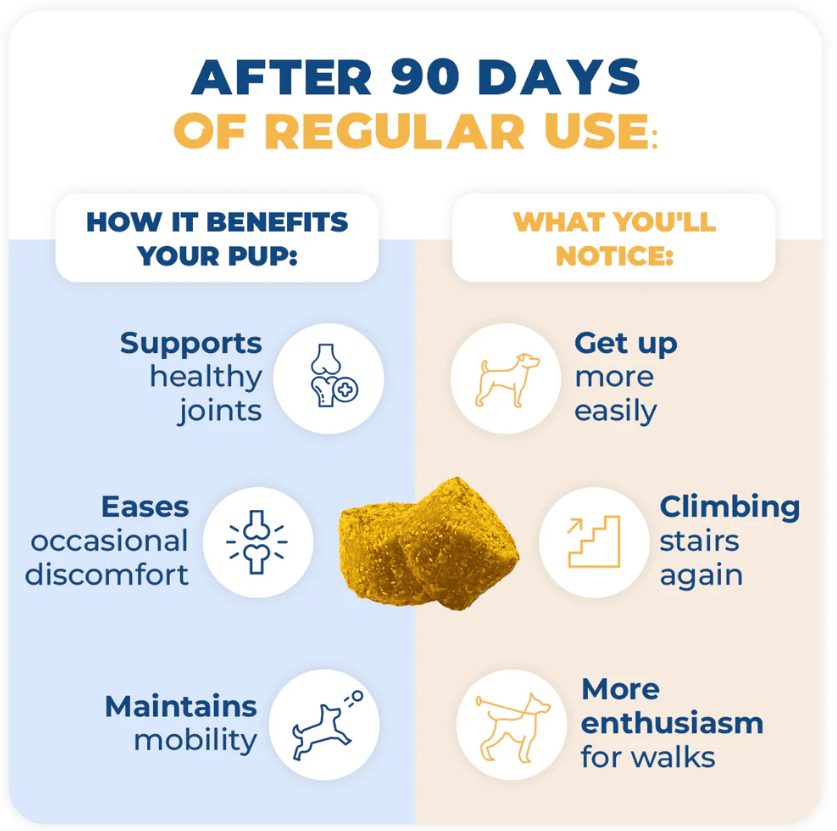 Jope Joint Supplement For Dogs- 59% Better Than Glucosamine – Journeys ...