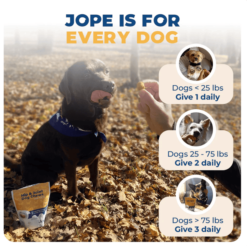 Jope Joint Supplement For Dogs- 59% Better Than Glucosamine – Journeys ...