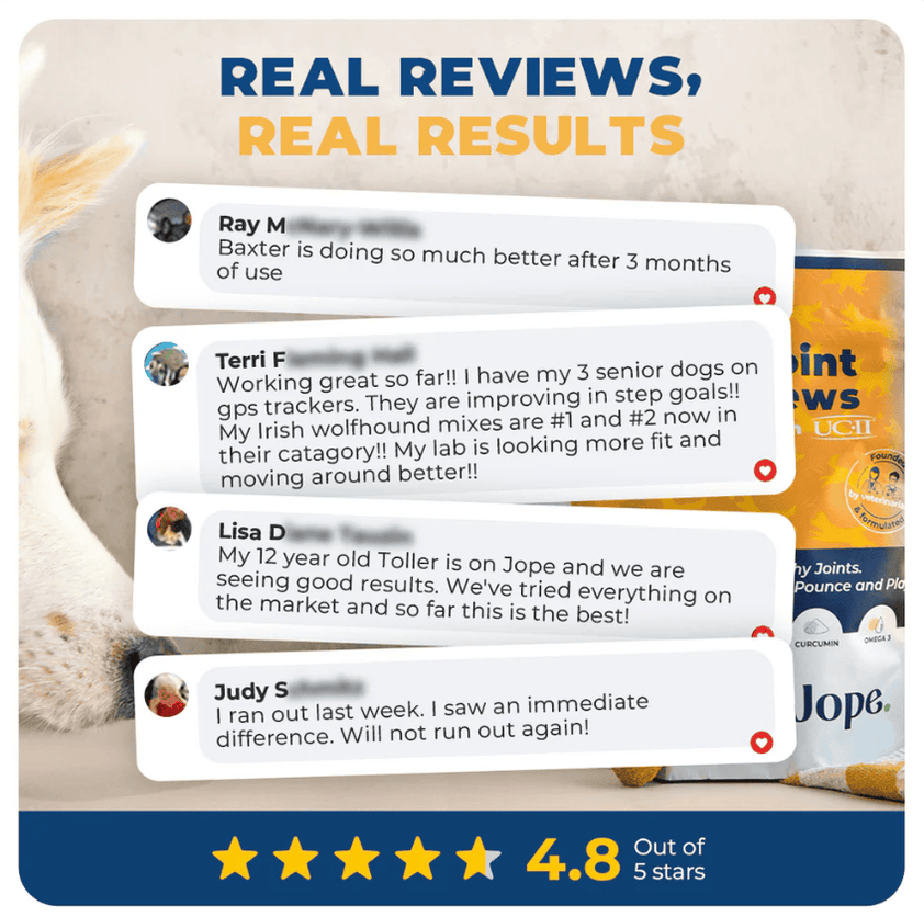Jope Joint Supplement For Dogs- 59% Better Than Glucosamine – Journeys ...