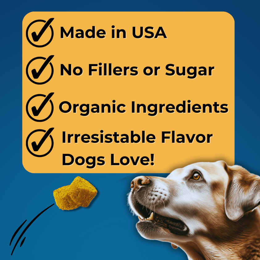 Jope Joint Supplement For Dogs- 59% Better Than Glucosamine – Journeys ...